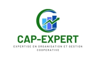 Offres d'emploi et de stage de l'entreprise CAP EXPERT CONSEIL sur Novojob